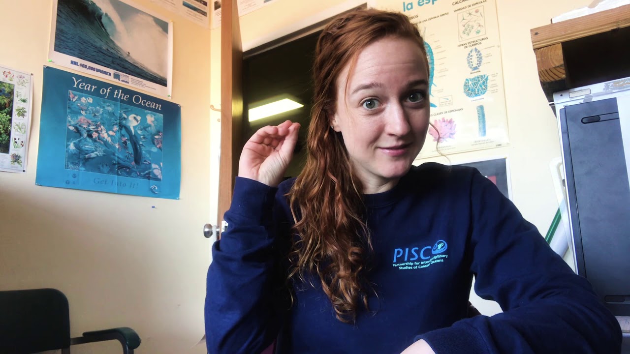 ASL Signs - orca - Atomic Hands