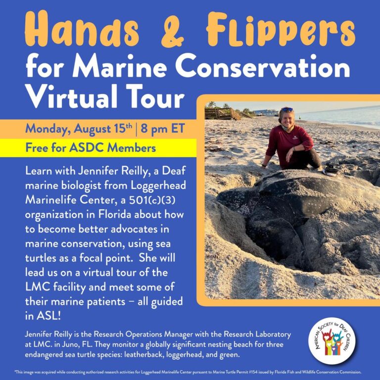 Hands & Flippers for Marine Conservation Virtual Tour – Atomic Hands