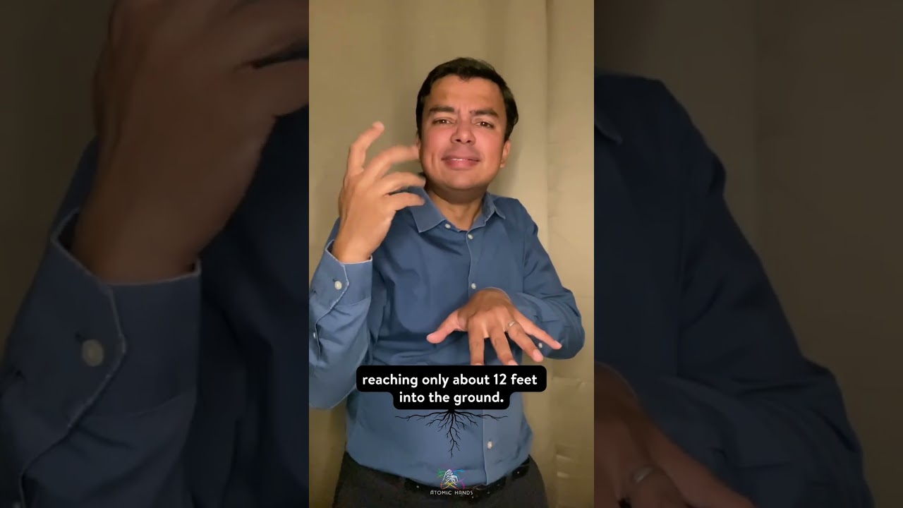 ASL STEM Videos - Atomic Hands